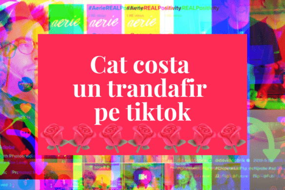 Cat costa un Tiktok Univers | Social Nation
